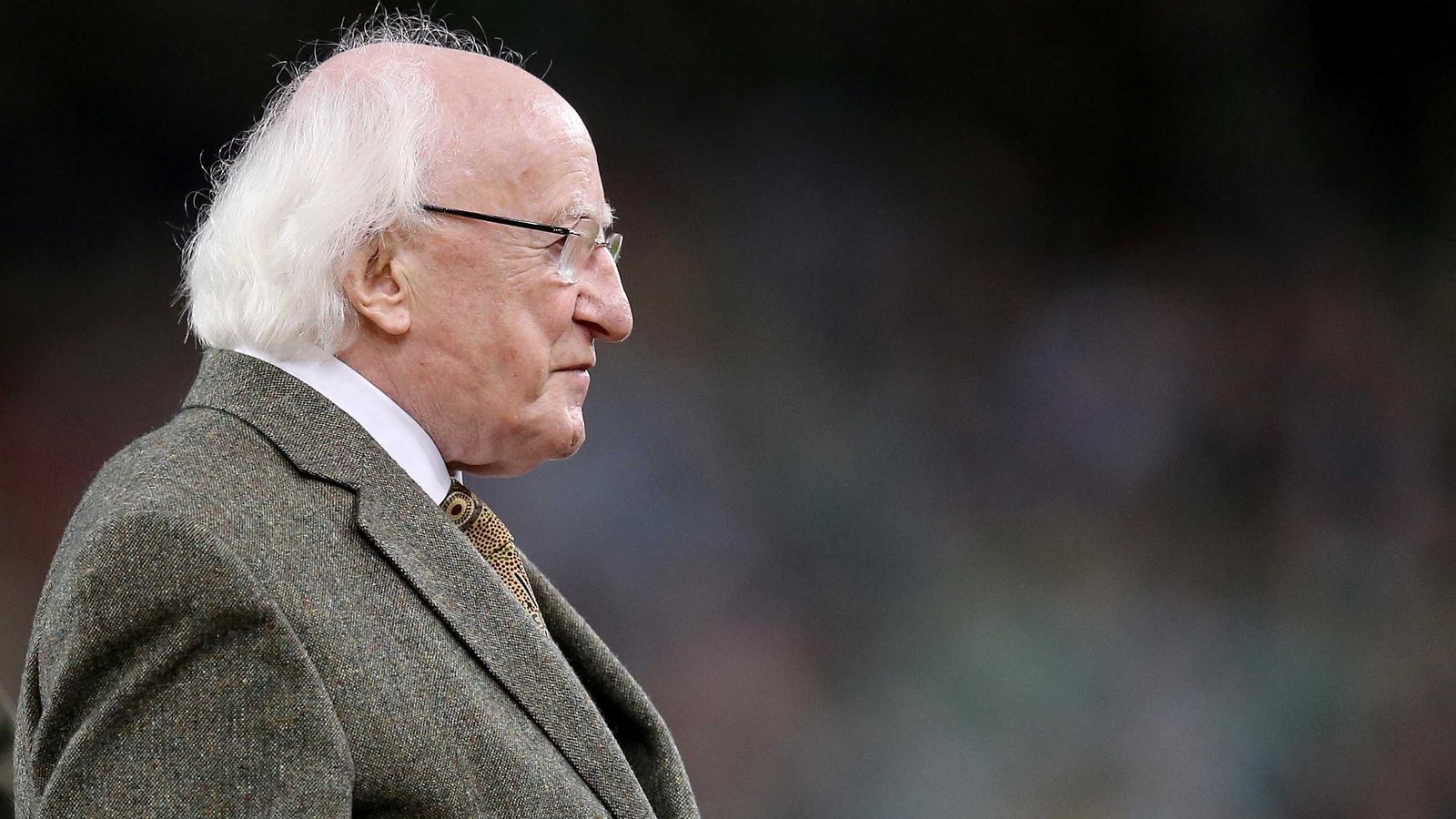 President Higgins celebrates Ireland's victory