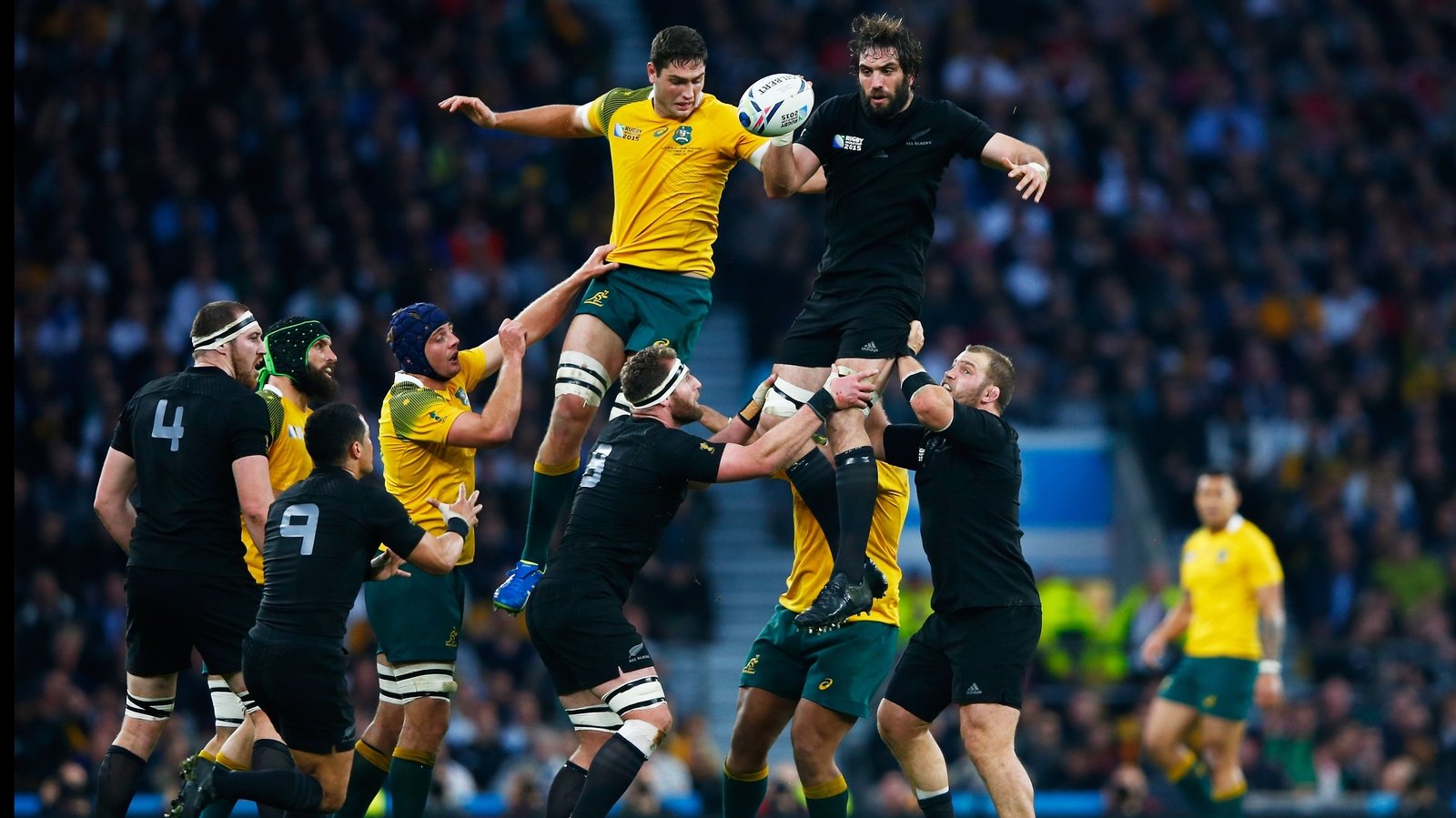 Ireland welcome All Blacks and Australia in 2016