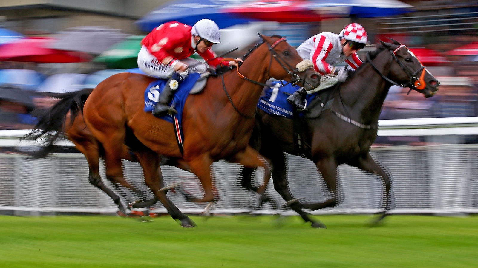 Irish raiders primed for Hong Kong Sprint