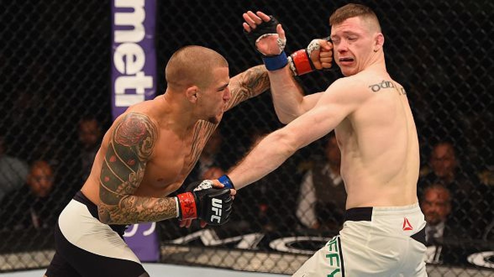 Joseph Duffy beaten by Dustin Poirier at UFC 195