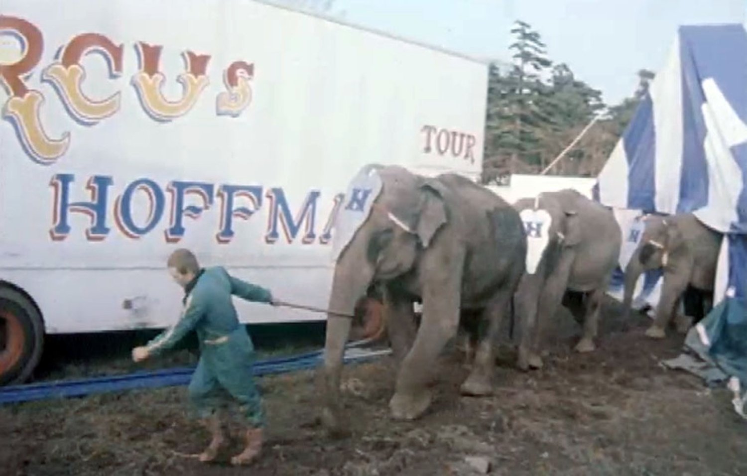 RTÉ Archives | Entertainment | Circus Hoffman