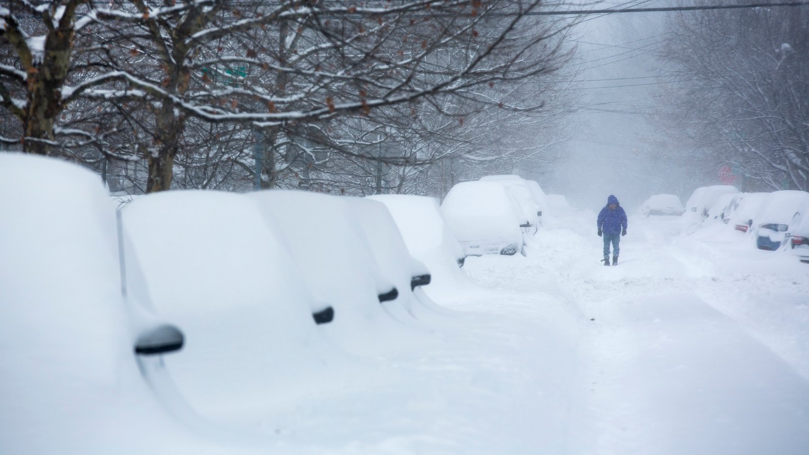 Eastern US engulfed by massive snow storm