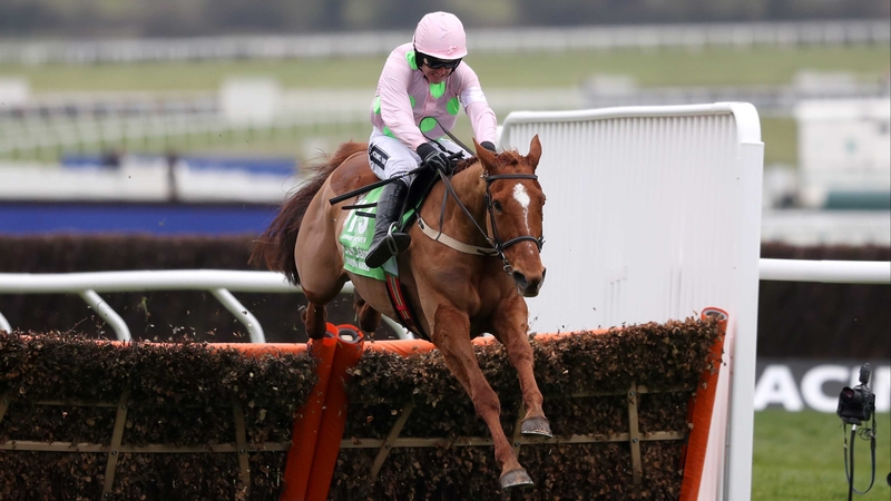 Annie Power expecting Camelot foal in 2018