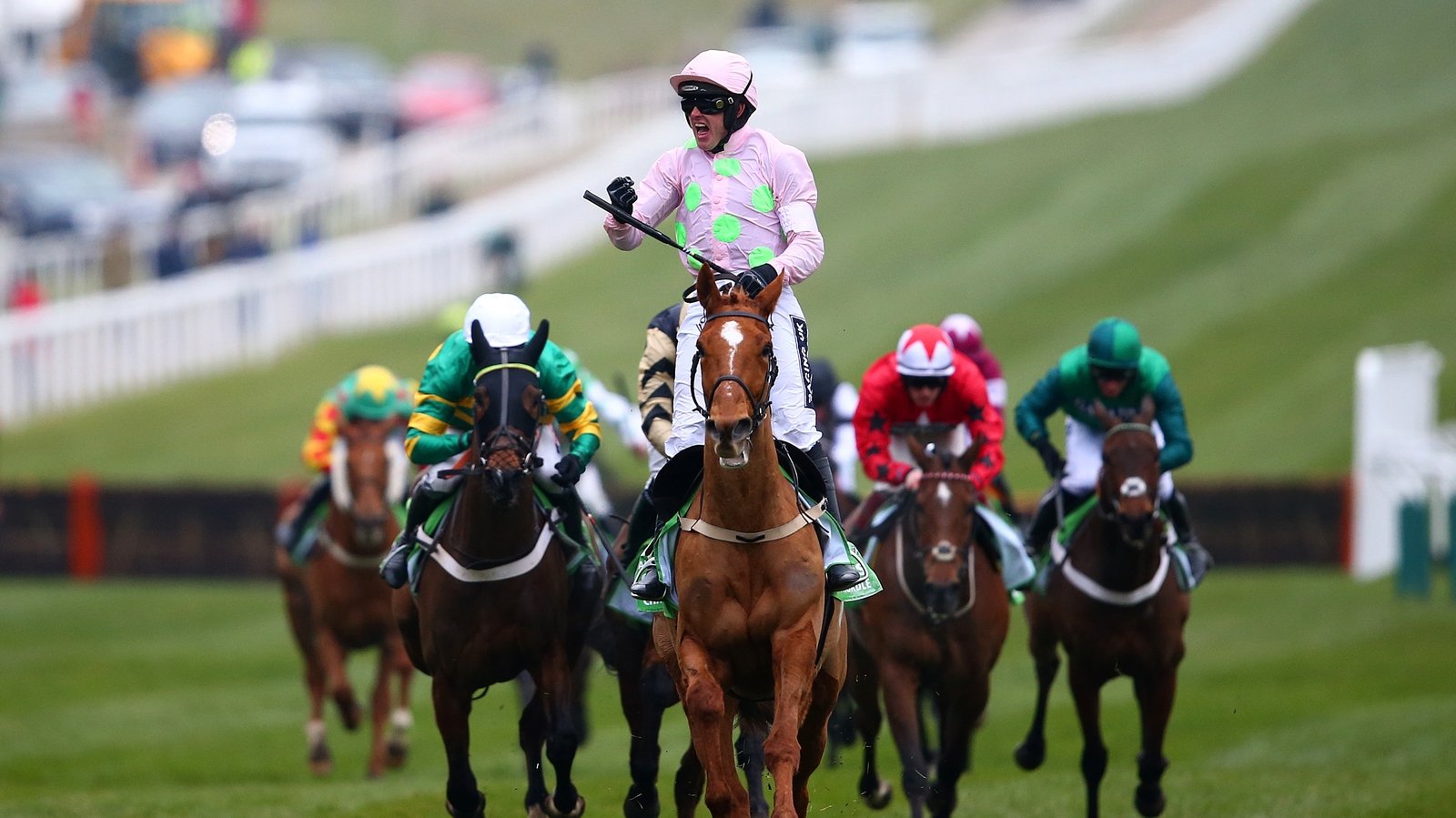 Majestic Annie powers to Champion Hurdle glory