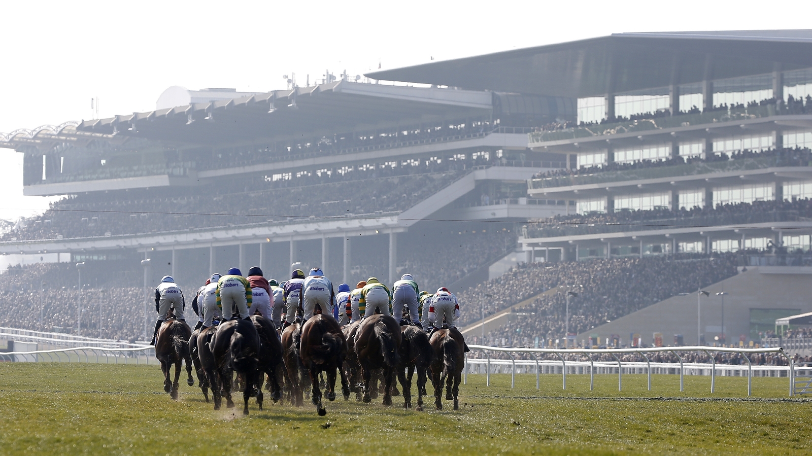 Tips and previews: Cheltenham Day 4