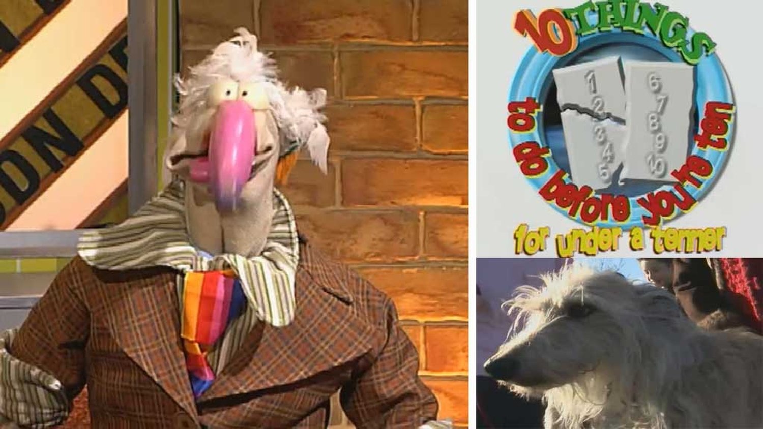 RTÉ Archives | Entertainment | Dustin's Daily News