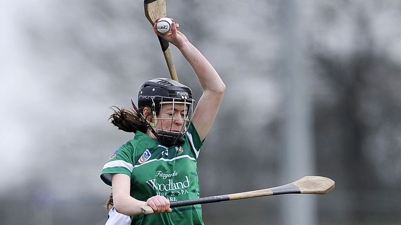Young Limerick side continue upward curve