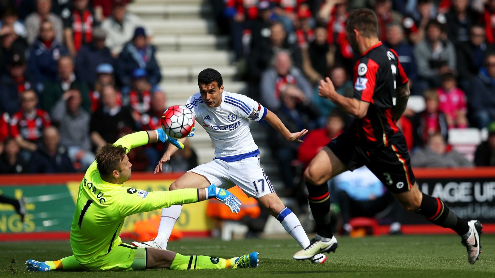 Fabregas shines as Chelsea hammer Bournemouth