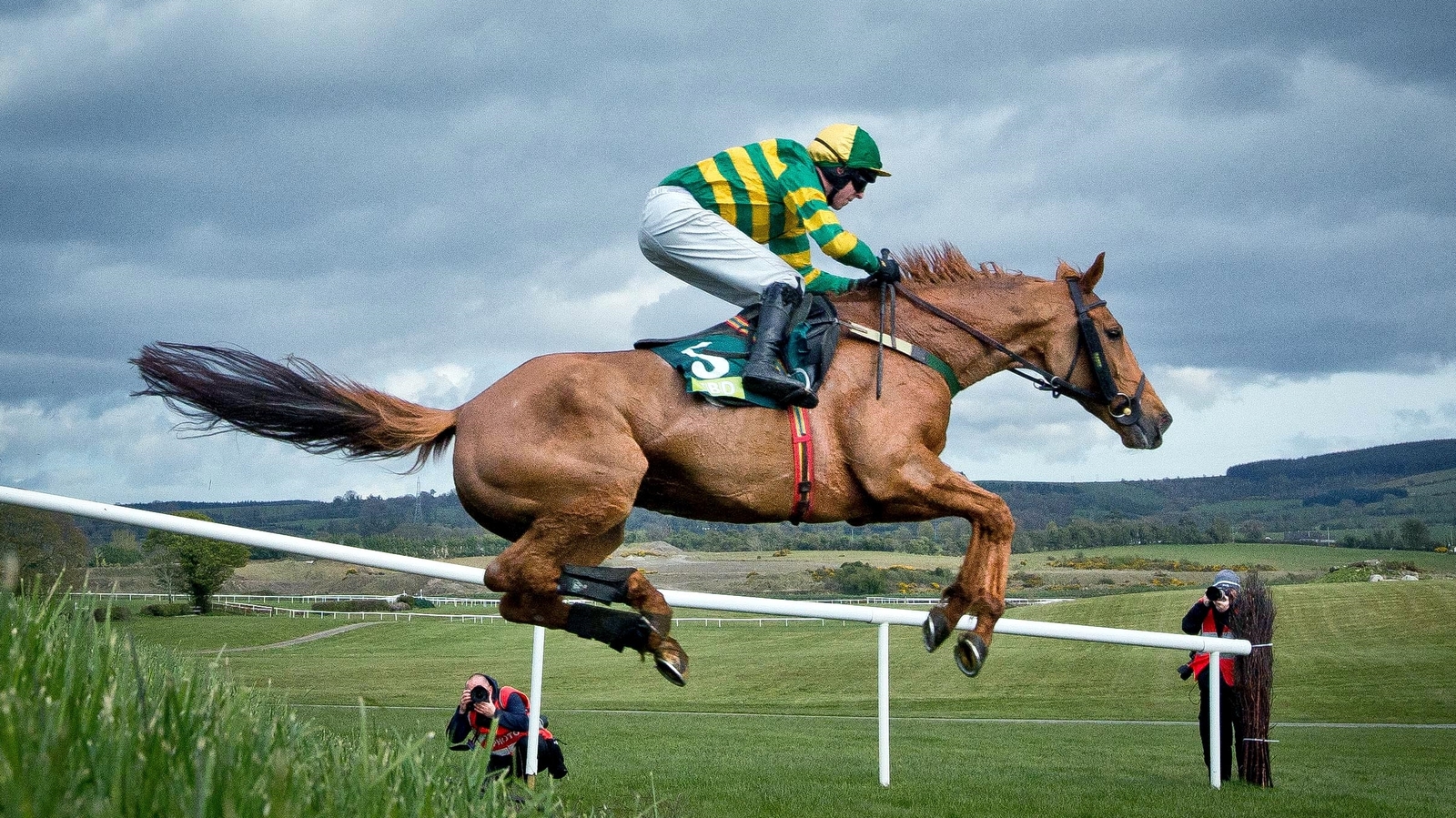 Quantitativeeasing on the money for Enda Bolger