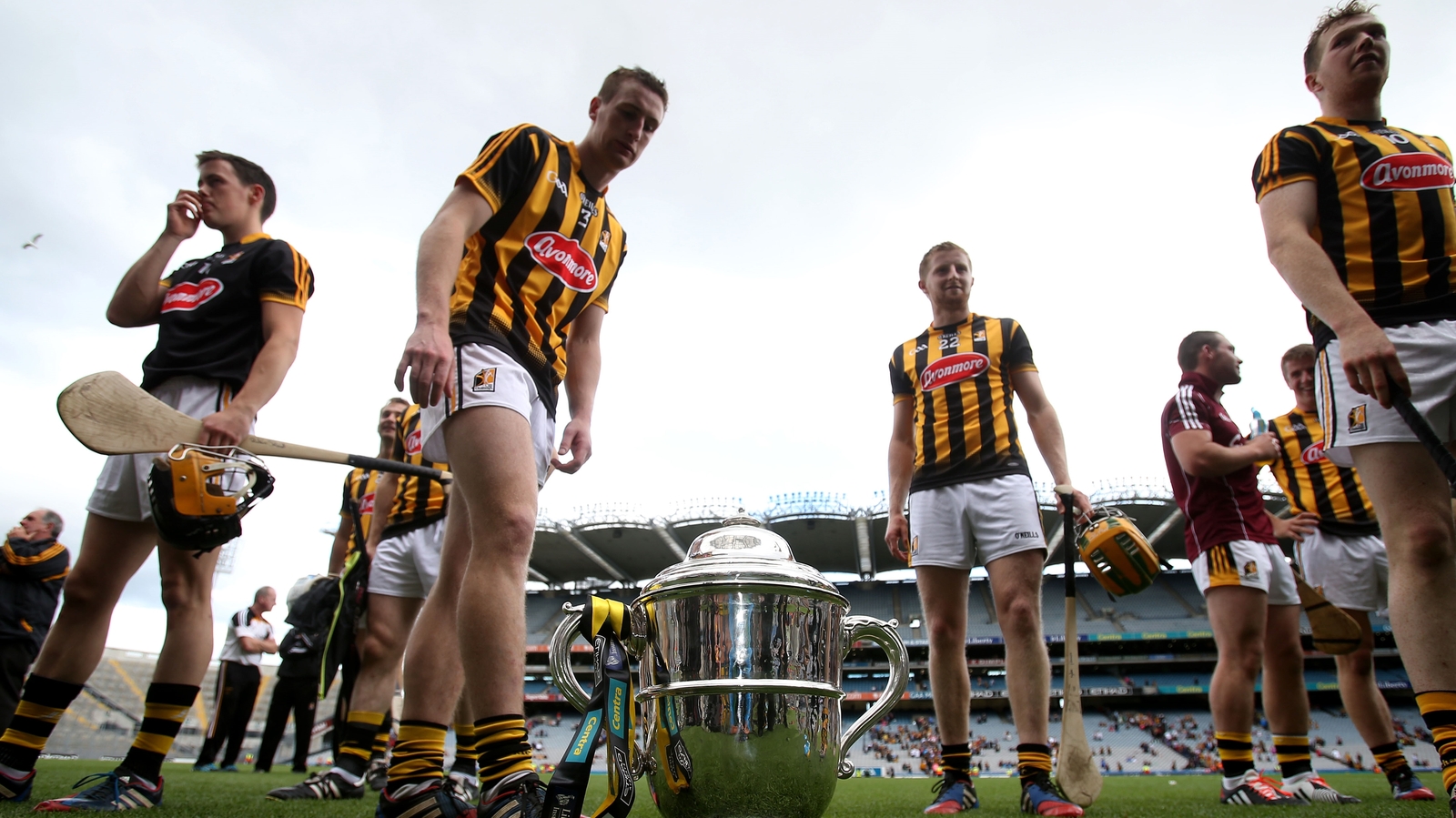 Leinster hurling: Cats to get the cream again