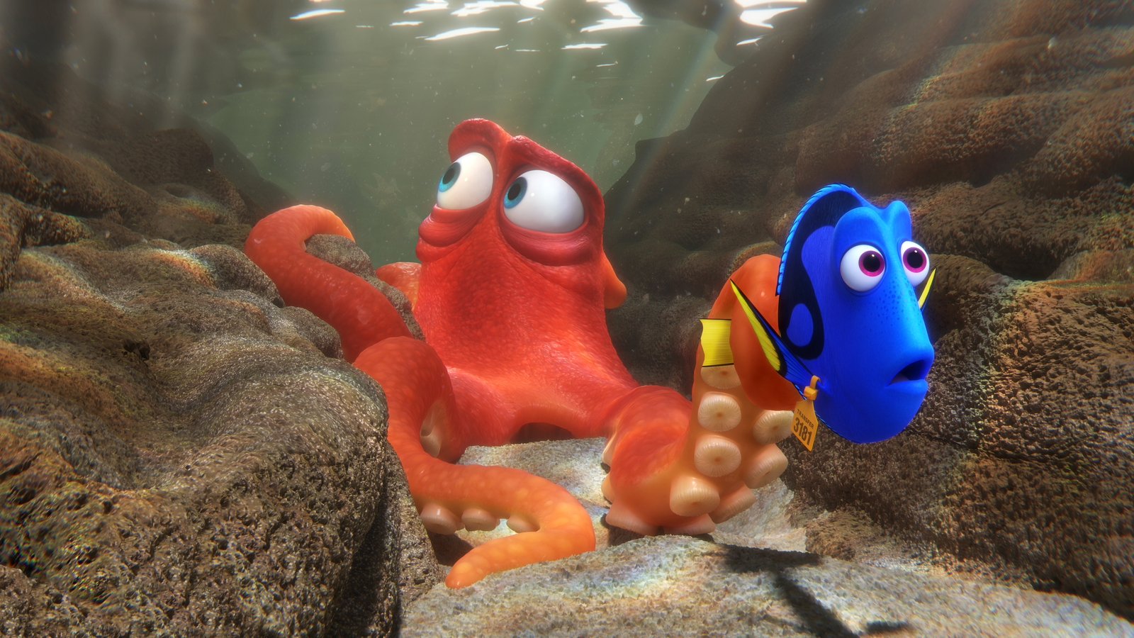 Finding Dory is the cuddliest catch of 2016