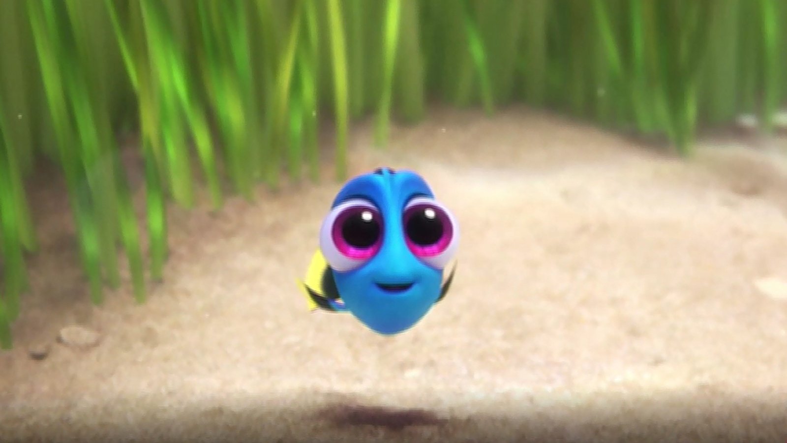 Finding Dory star 'paid in chocolate'