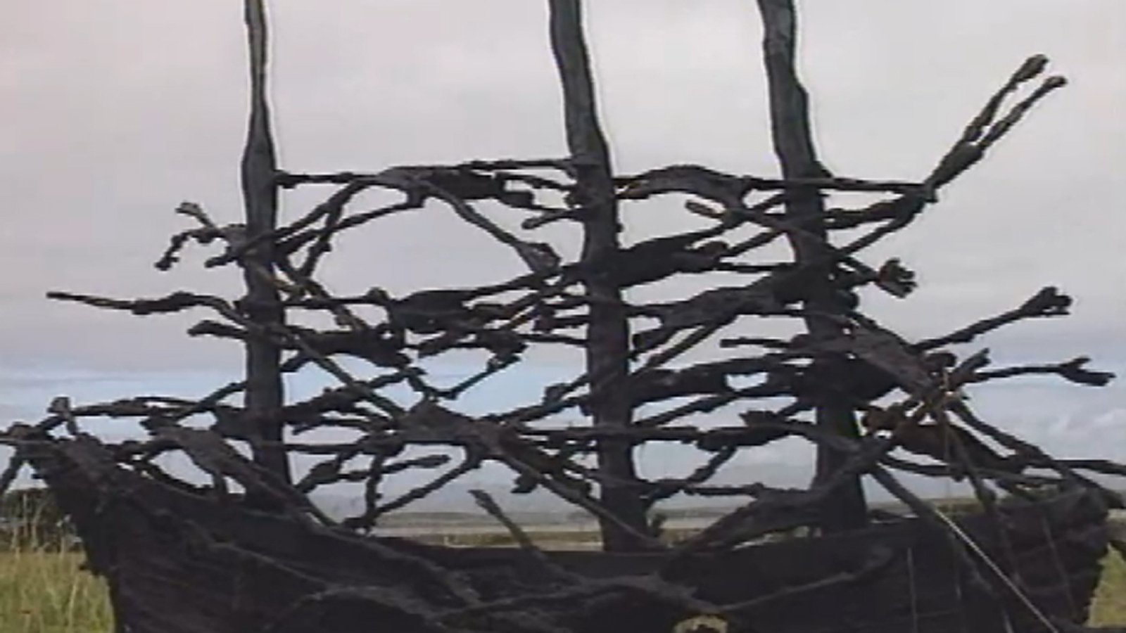 170 years after the famine, the late blight of potatoes remains