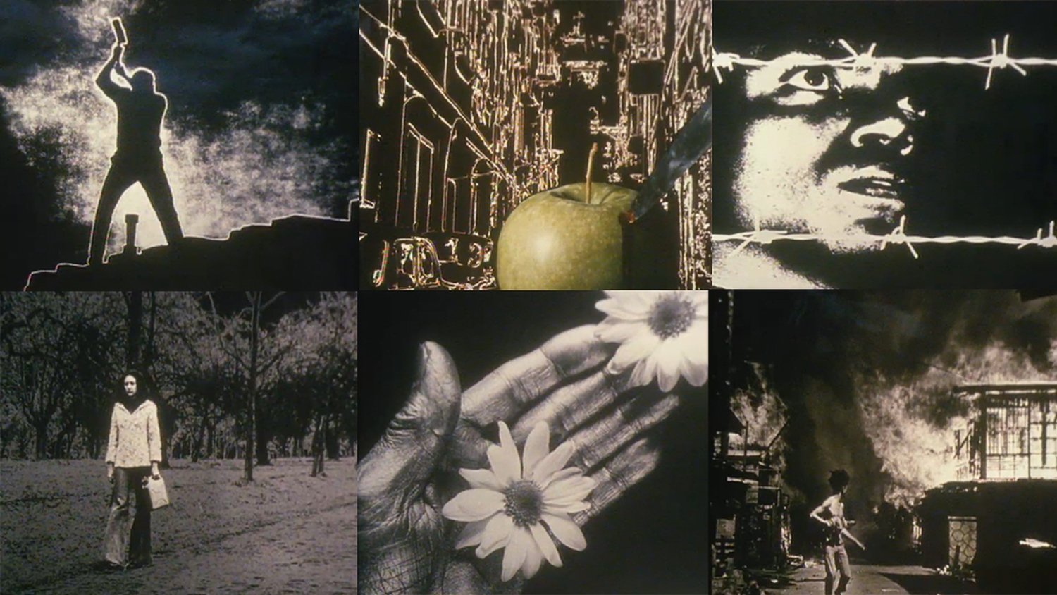 RTÉ Archives | Arts and Culture | Irish Salon of Photography