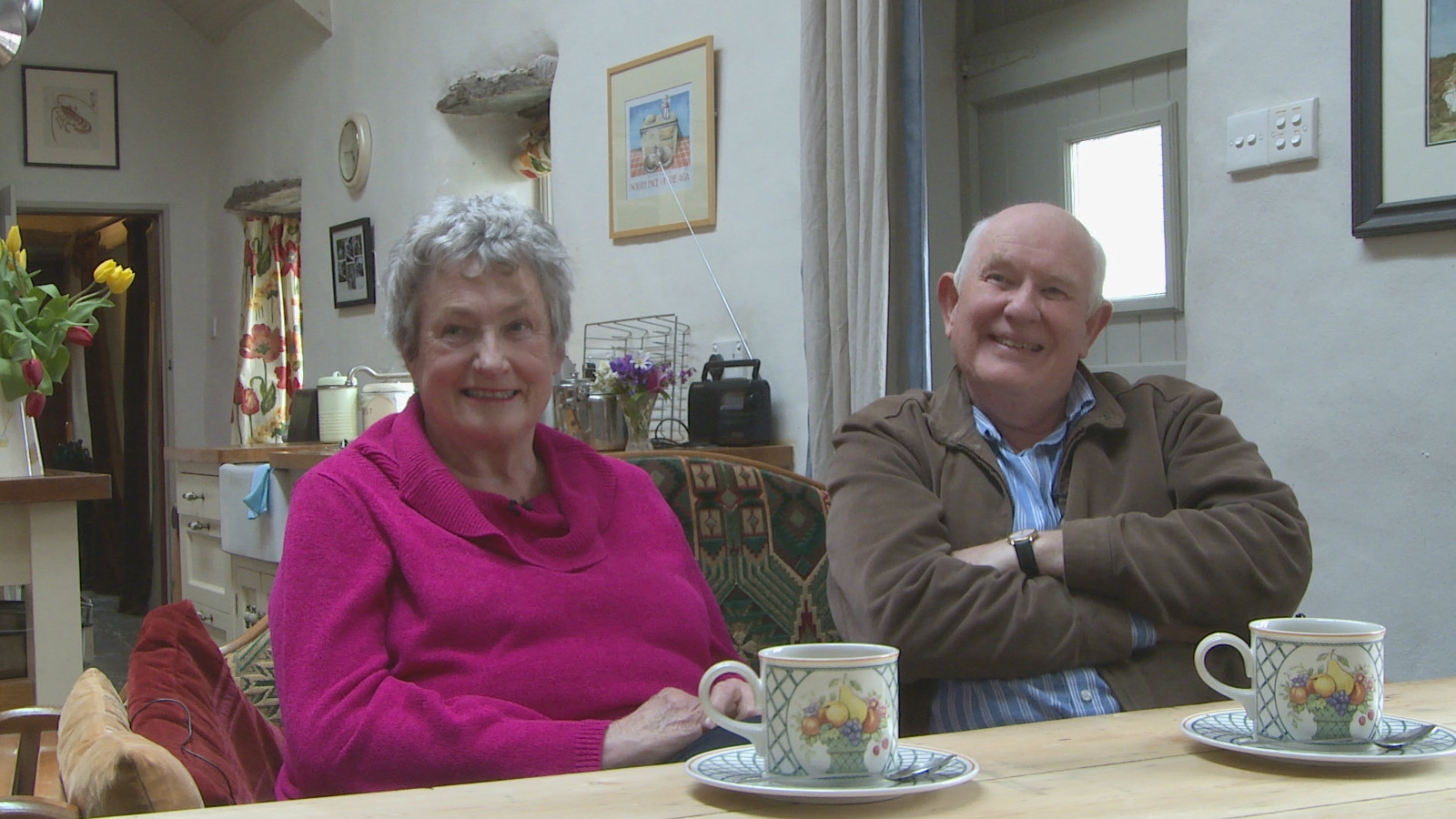 Brand New RTÉ Series: Find Me a Home!