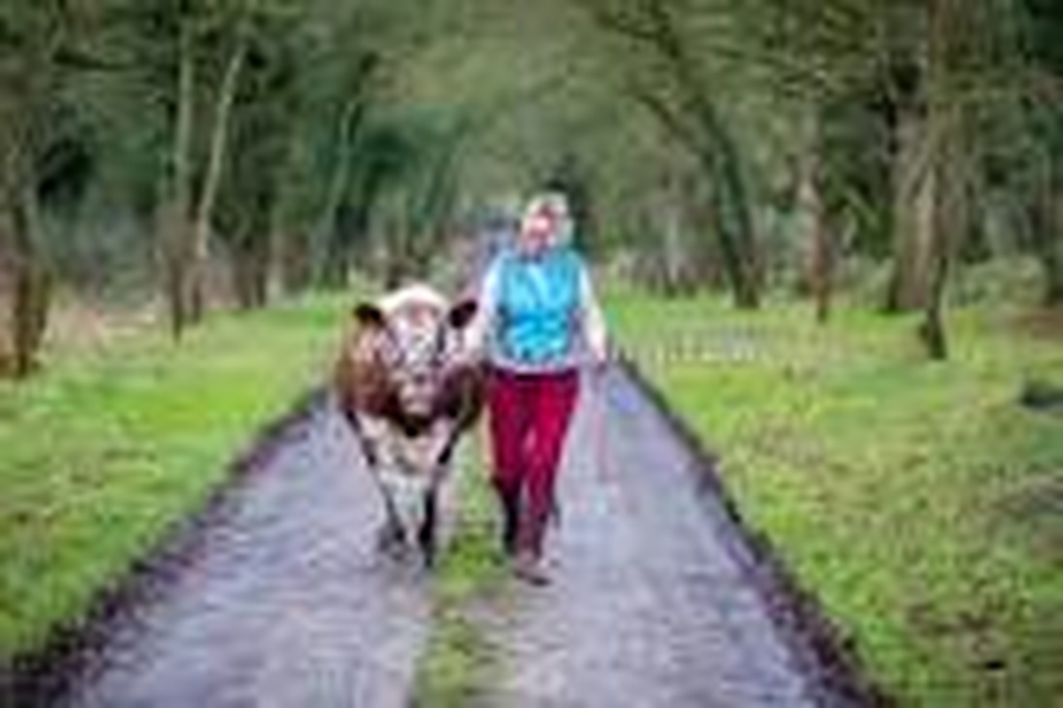 Mount Briscoe Organic Farm | CountryWide - RTÉ Radio 1