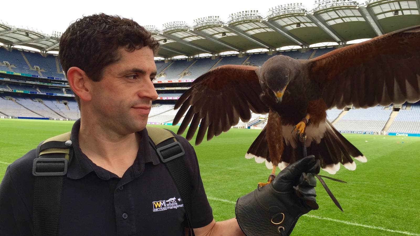 Meet the other hawk-eyes at Croke Park