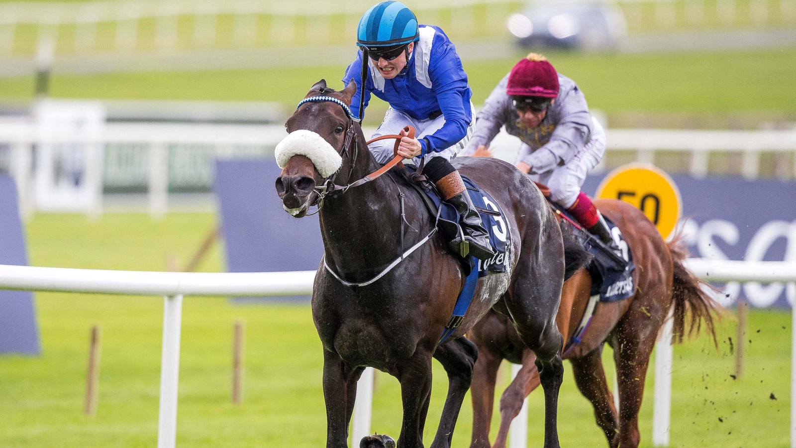 Irish Guineas winner Awtaad to retire to stud