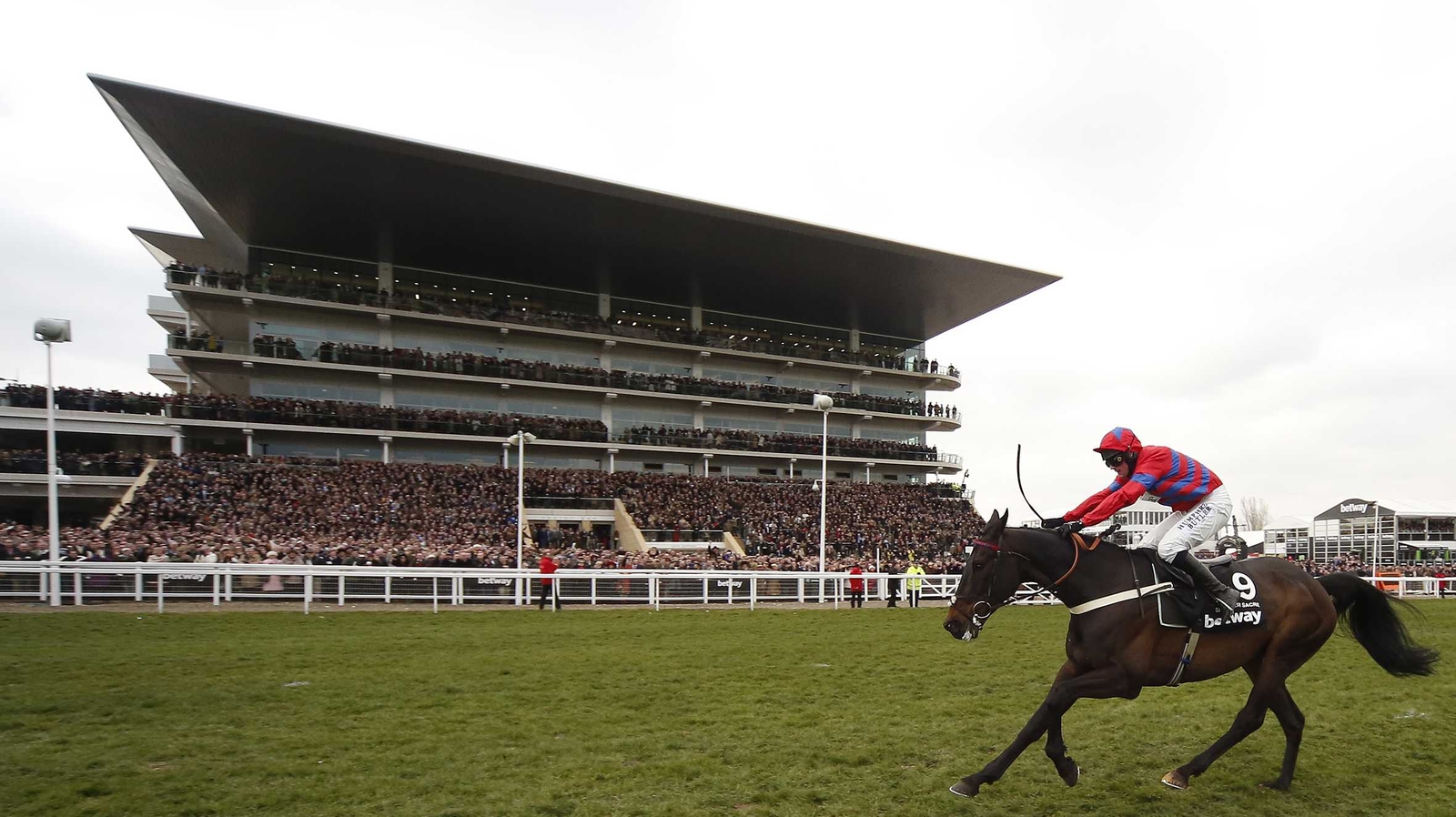 McCoy: Sprinter Sacre the Ferrari that could jump