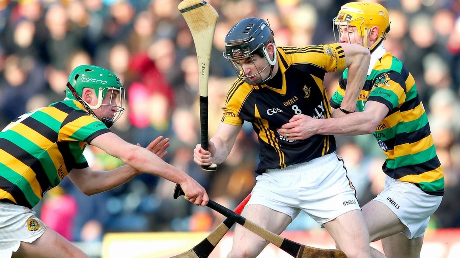 Kelly leads Ballyea to historic Munster crown