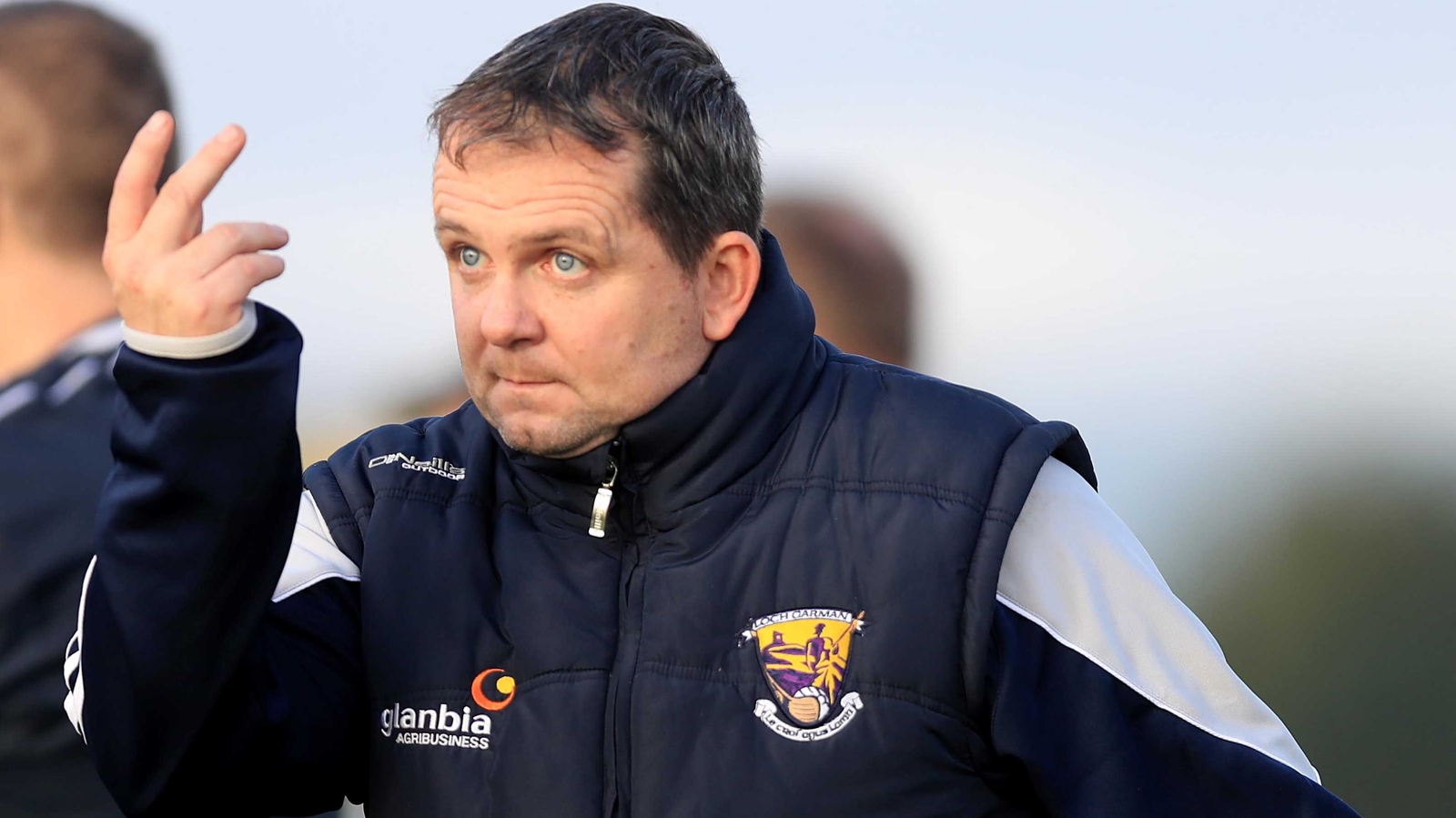 Davy Fitz calls on hurling promotion from GAA