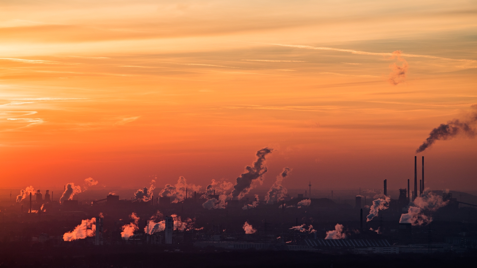 New EPA chief questions carbon link to global warming