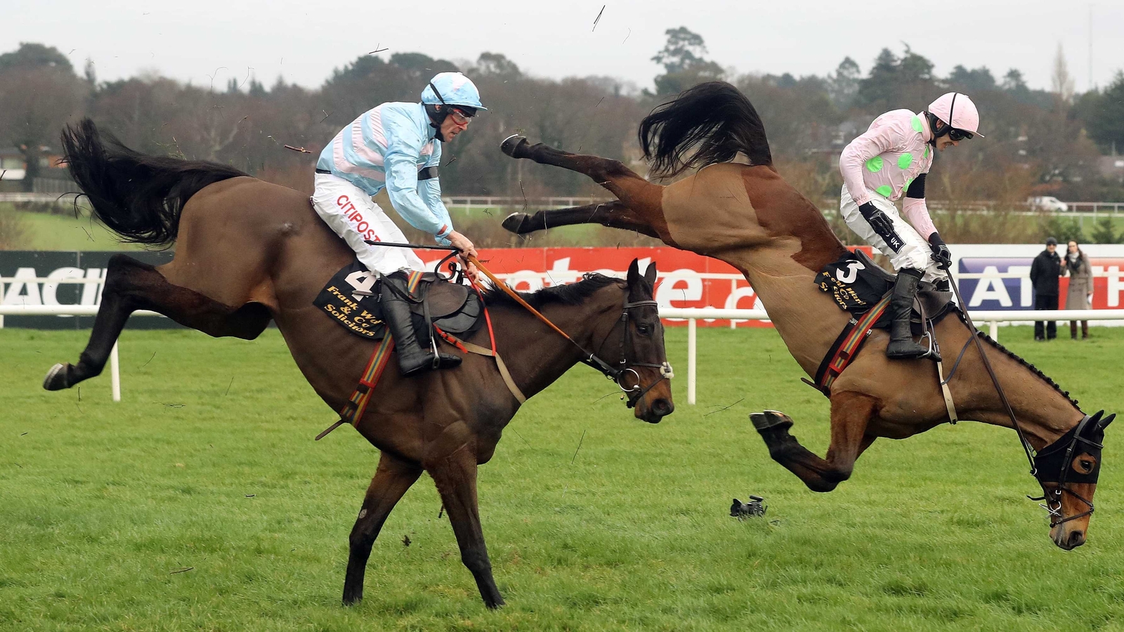 Some Plan stands up for Irish Arkle win