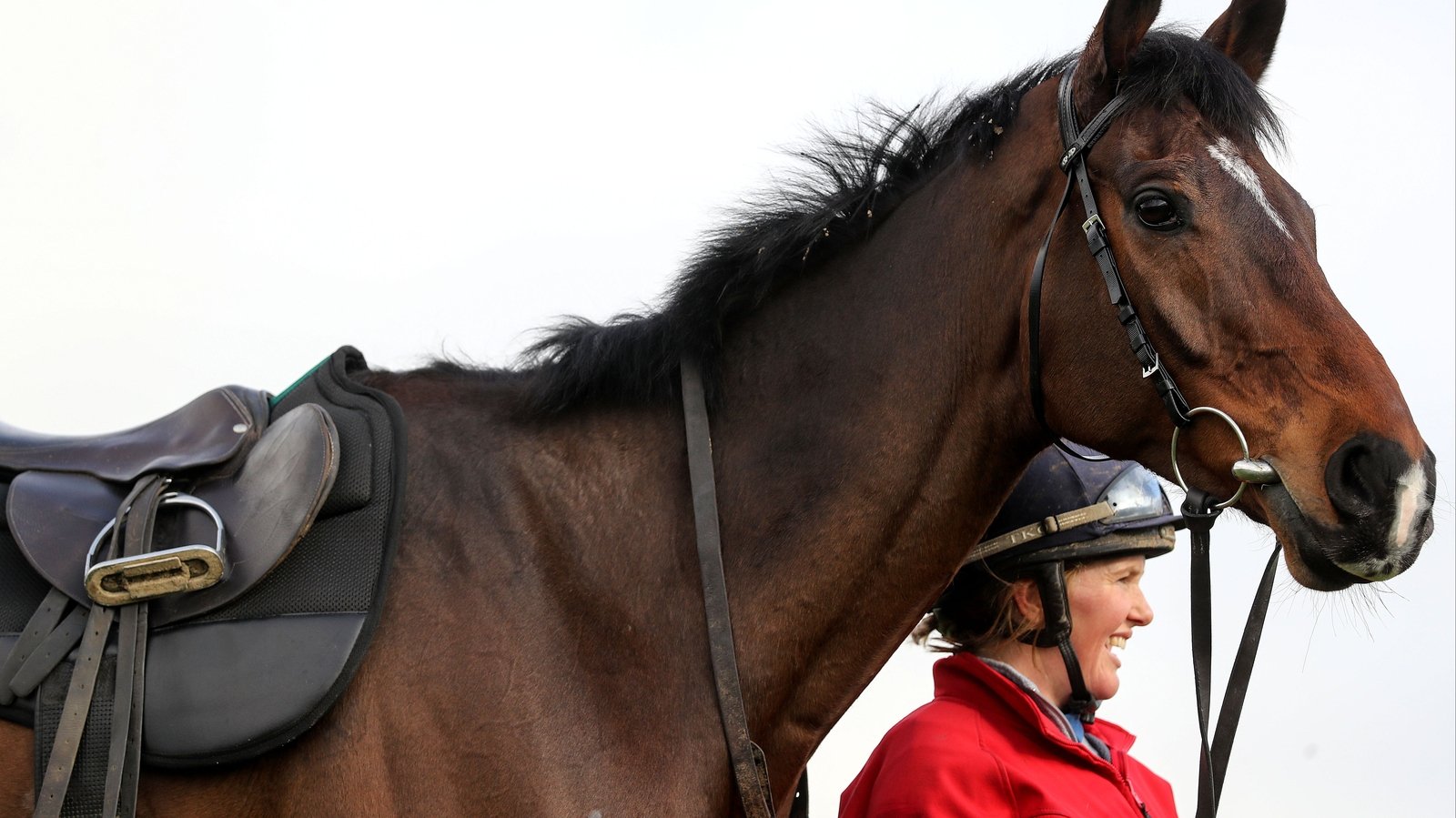 Douvan has '50-50' chance of making Cheltenham Festival