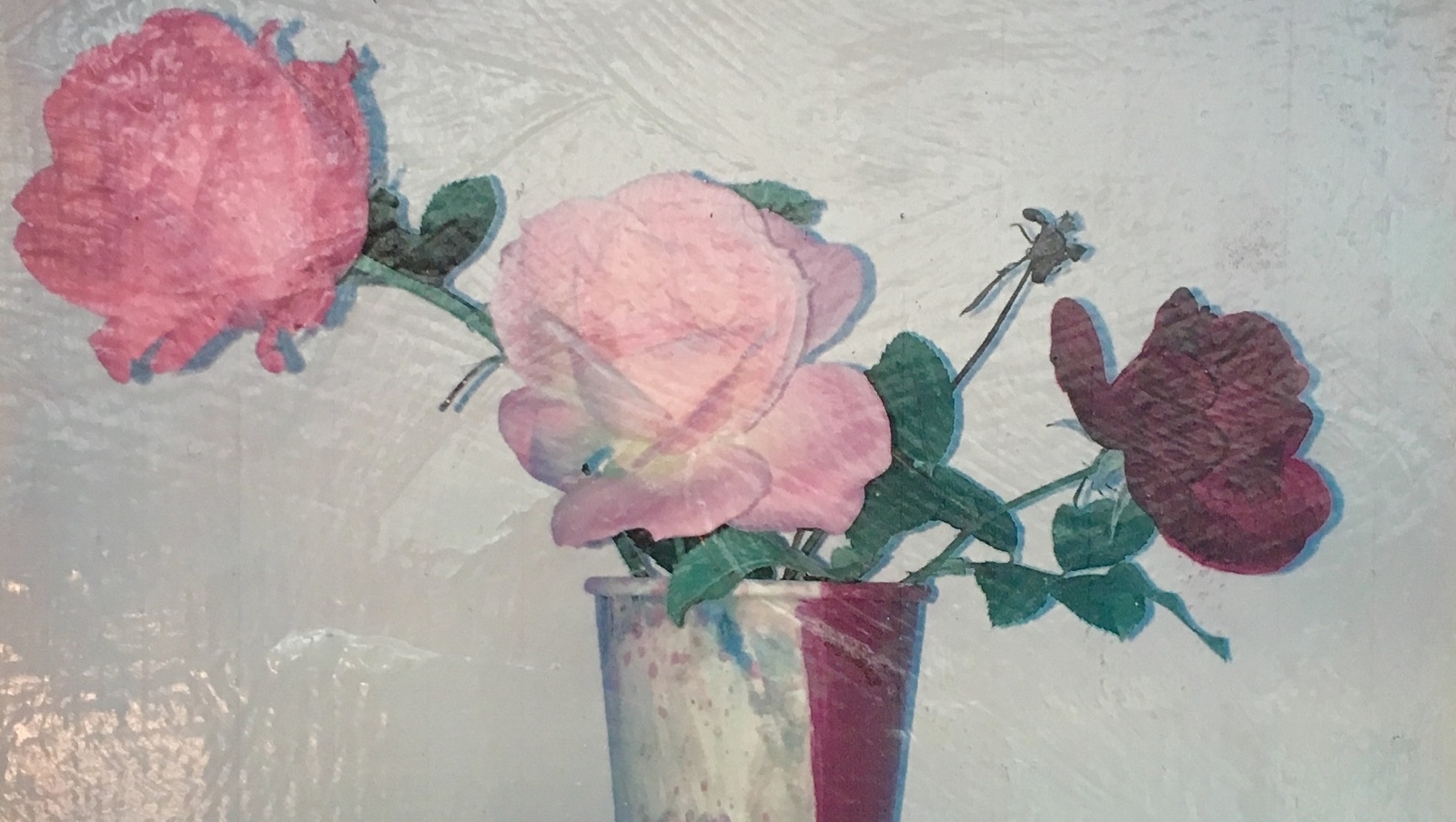 In The Picture: Austin Hearne, Photgrapher