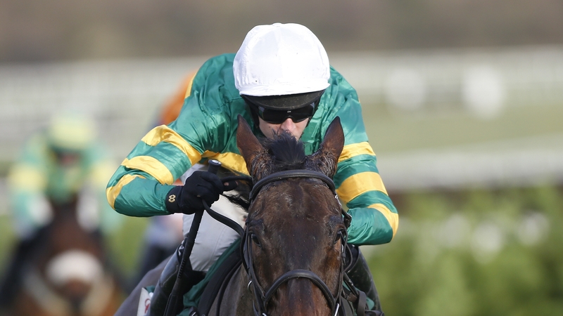 Mark Walsh to miss rest of the Cheltenham Festival