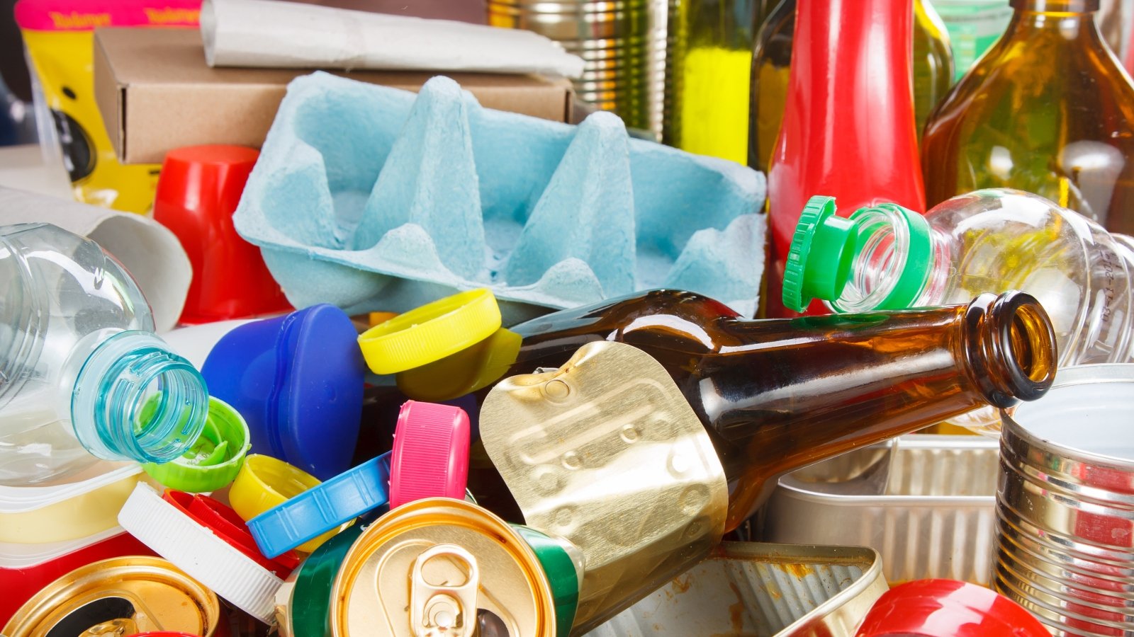 Contaminated bins could mean fines for homeowners