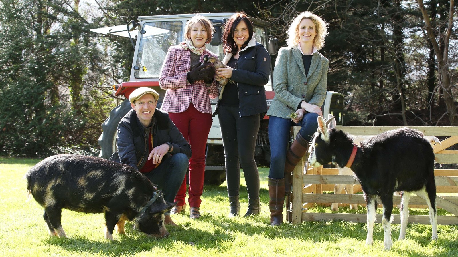 RTÉ Big Week on the Farm