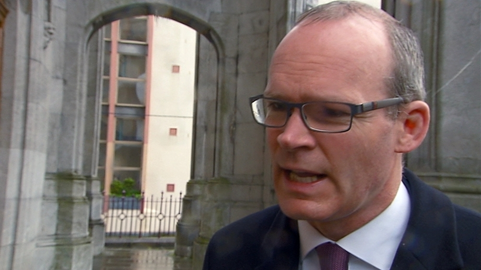 Coveney expected to reject county boundary change