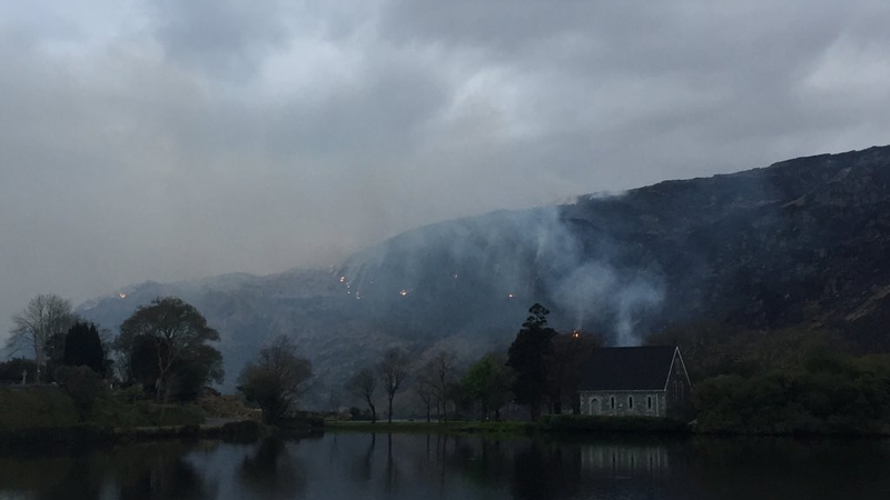 Forest no longer at risk from Guagán Barra blaze