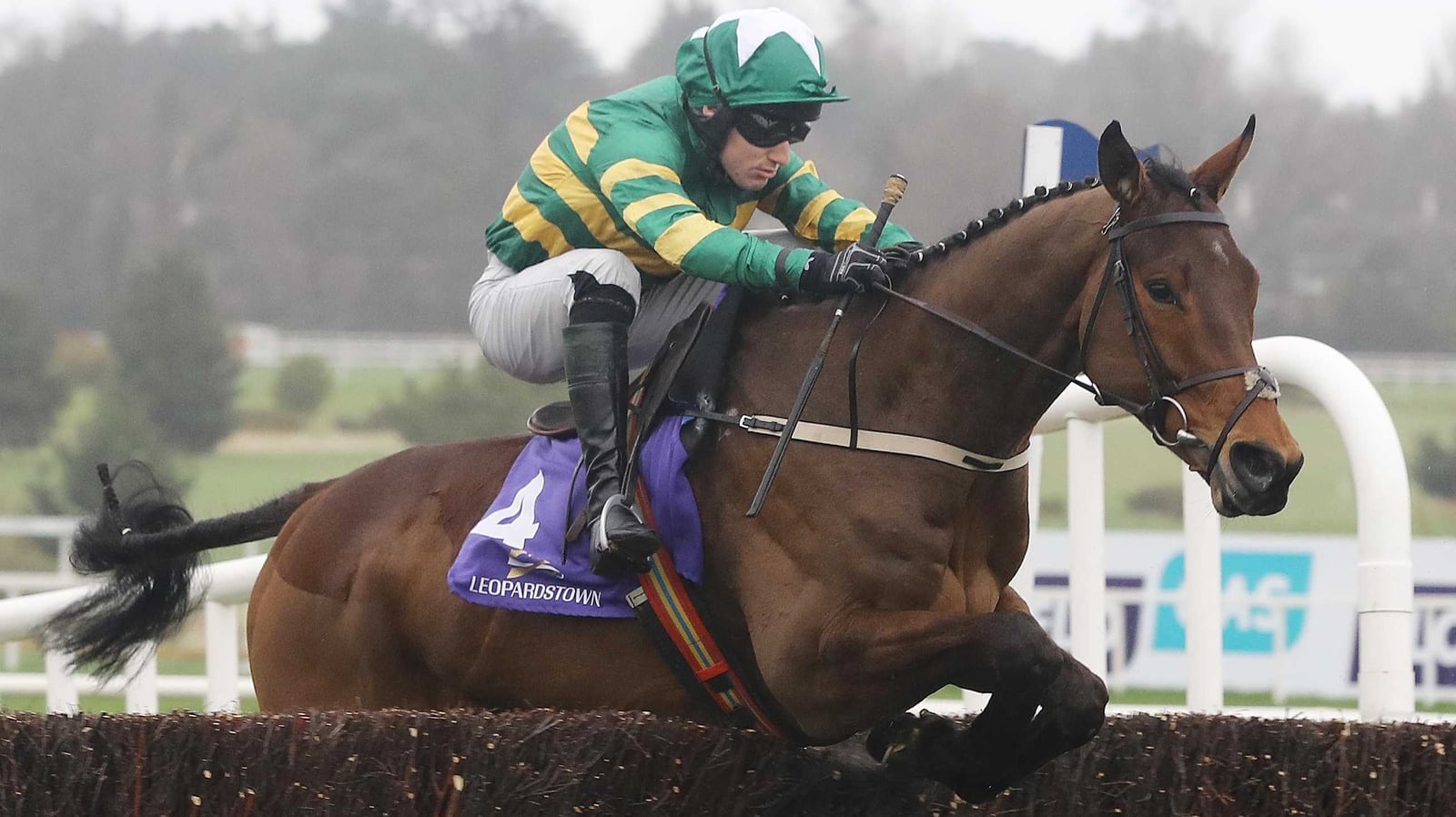 Great Field storms to Webster Cup victory at Navan