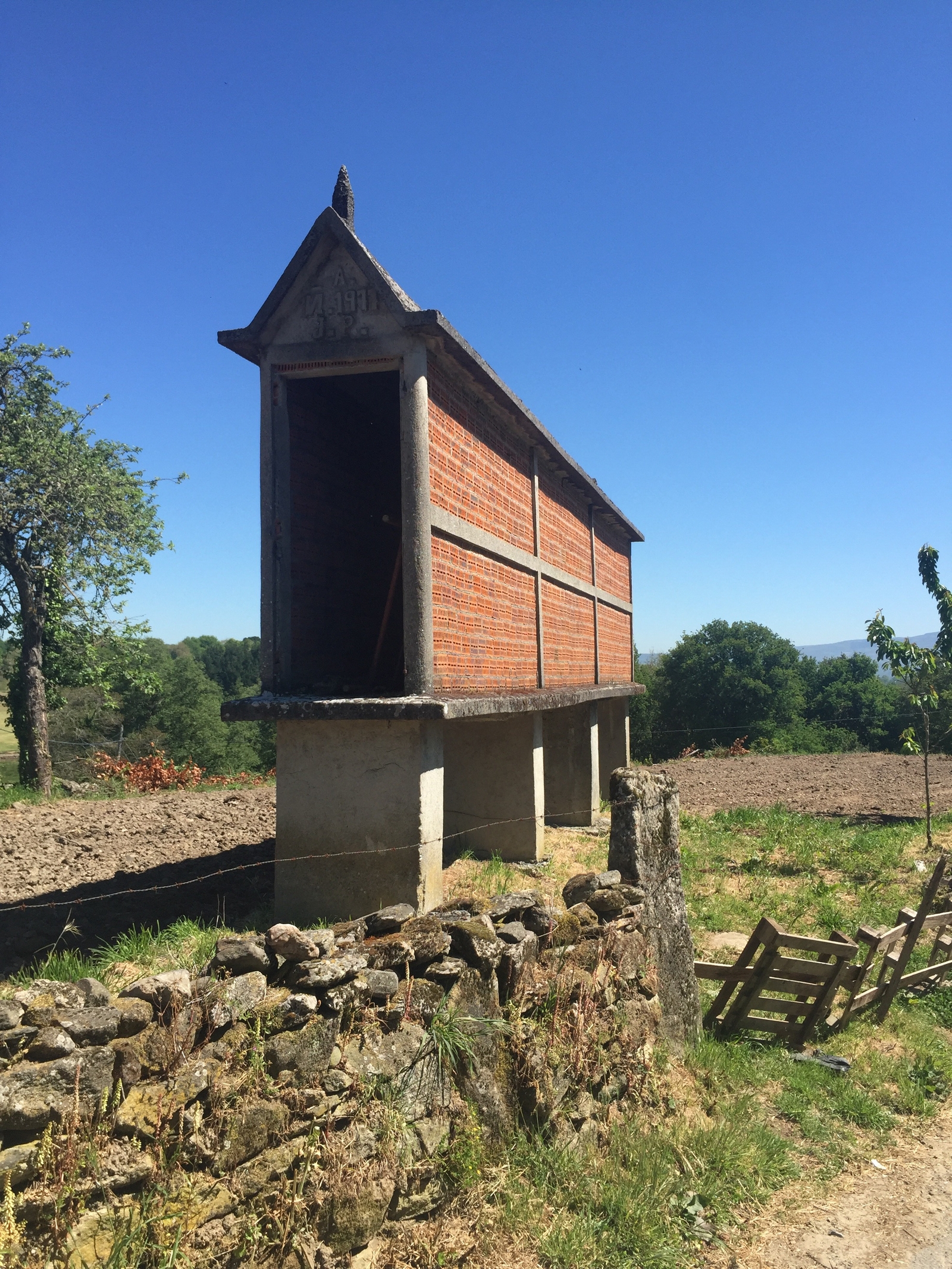 Regina Looby's Trip to Sarria