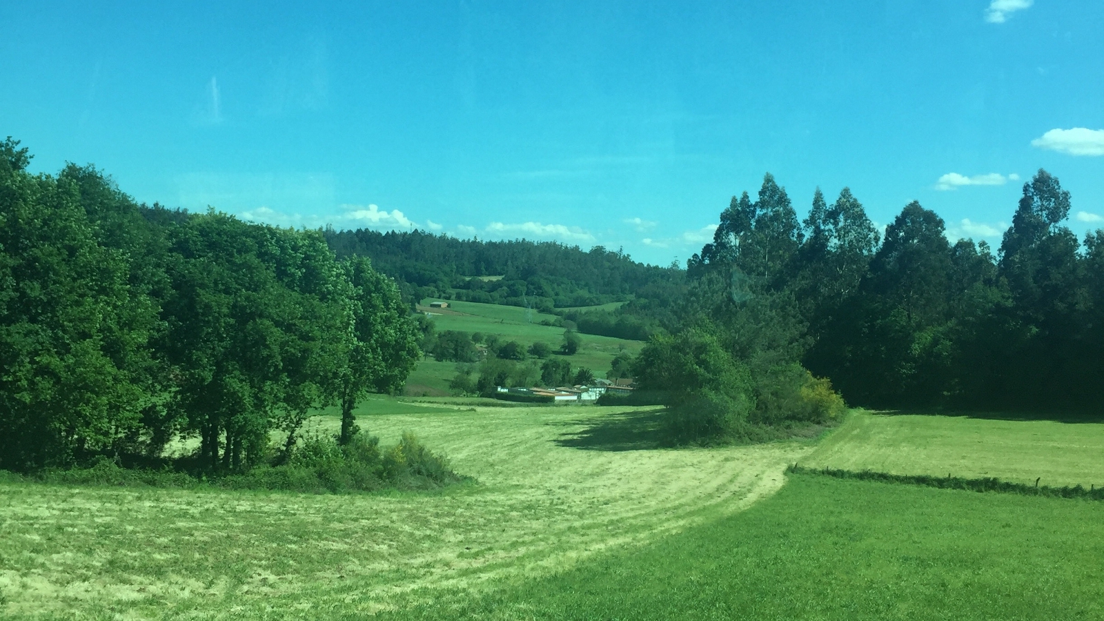 Regina Looby's Trip to Sarria