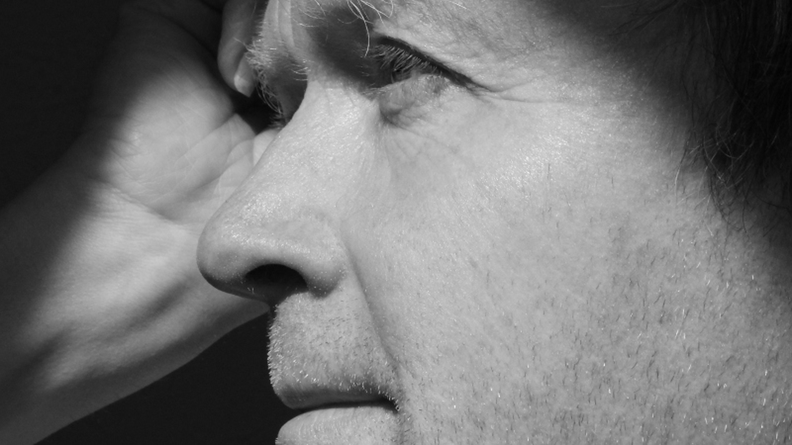 The Harvest Ministers get Back to Harbour on new album