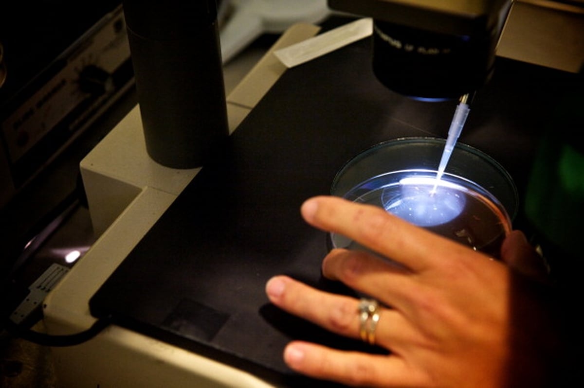 Professor Winston- The Ray D'arcy Show | Radio 1 Highlights - RTÉ Radio 1