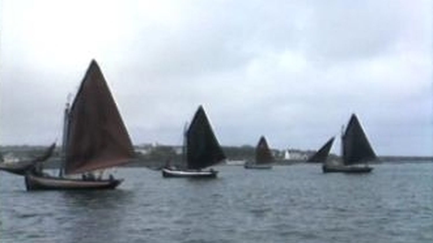 RTÉ Archives | Collections | World Currach Racing Festival