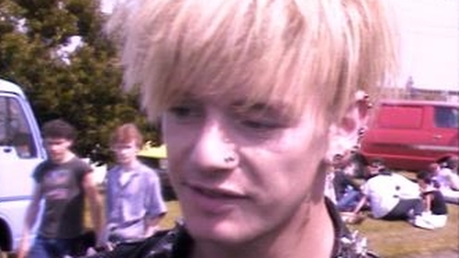 RTÉ Archives | Collections | Lark In the Park