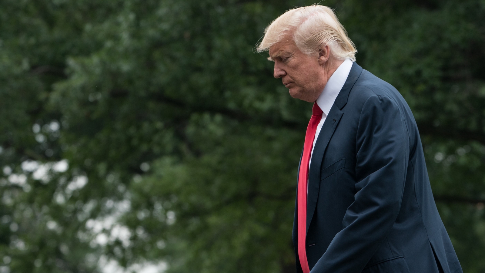 Make America scream again