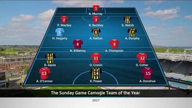 Cork dominate Camogie Team of the Year