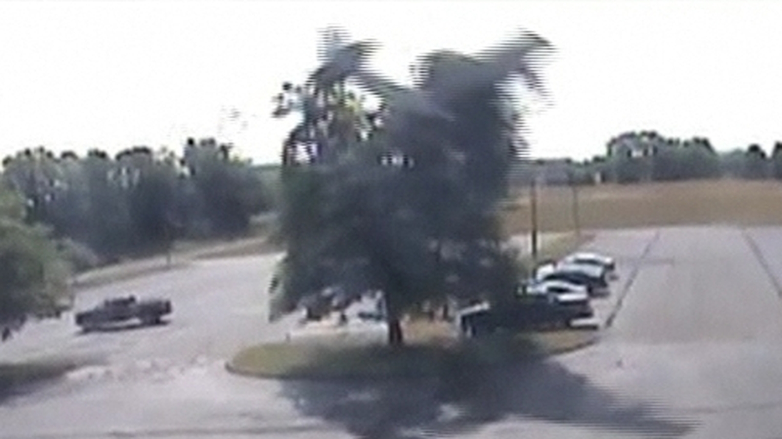 Pilot survives despite crashing plane into tree