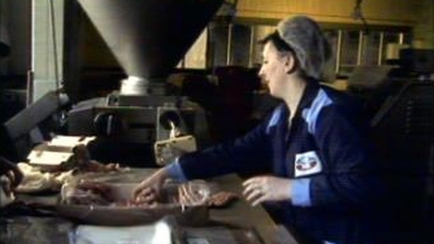 RTÉ Archives | Collections | Bacon Factory To Close