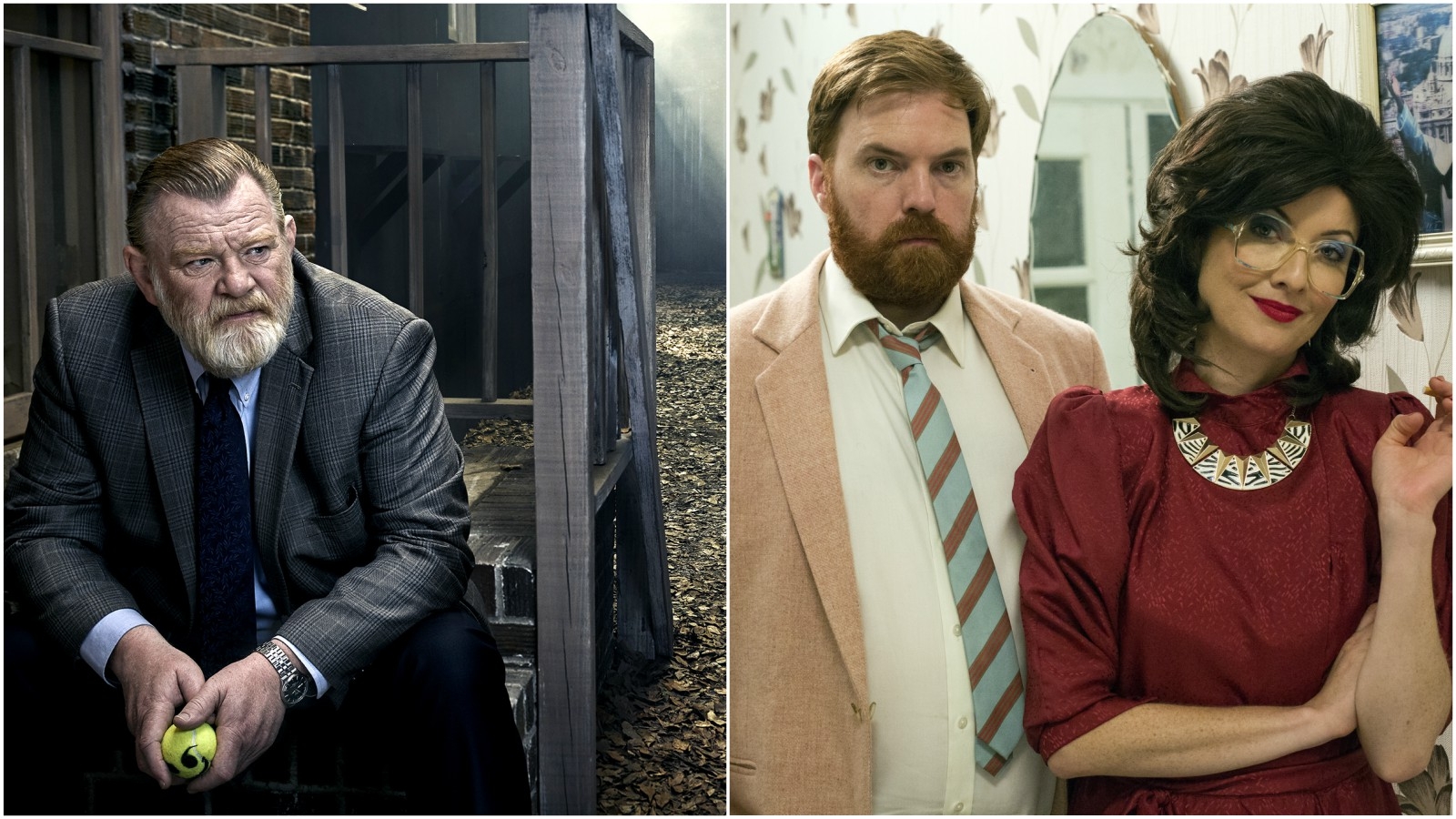 Brendan Gleeson, Bridget & Eamon and more on RTÉ Player