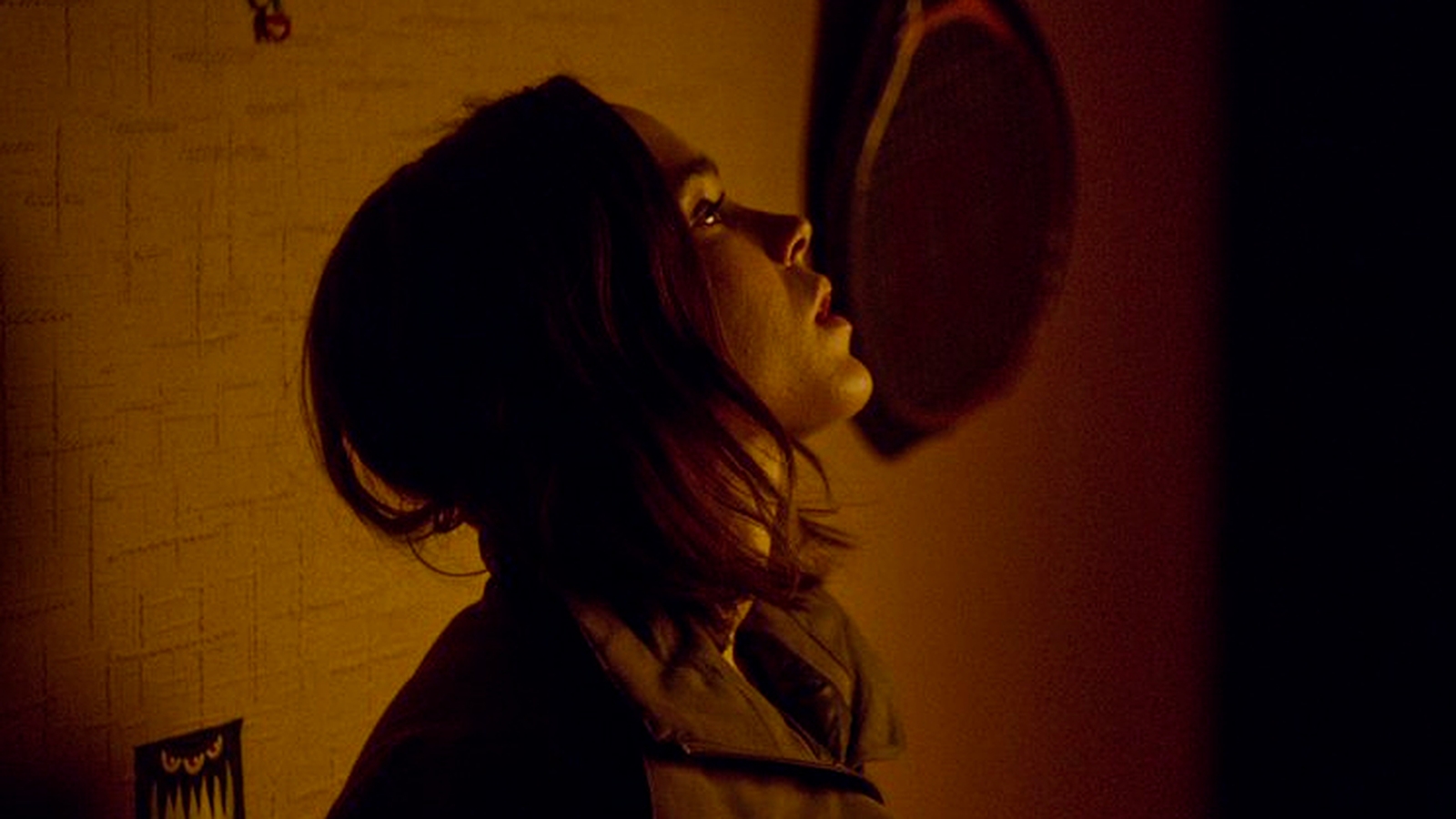 Irish zombie film was fuelled by recession