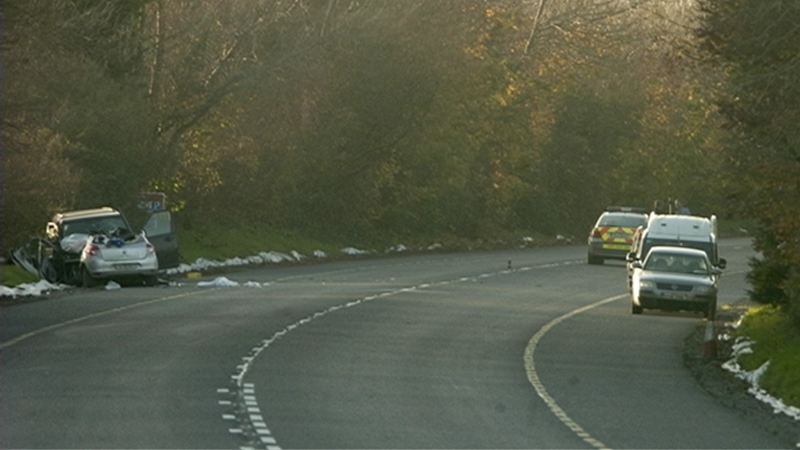 Two people killed in Wexford road crash