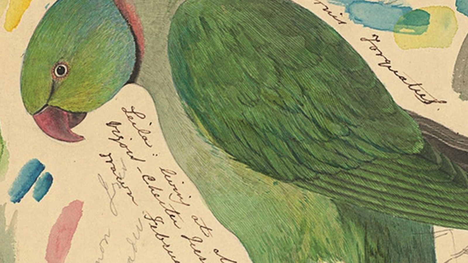 Mr Lear: A Life of Art and Nonsense review : Review: Mr Lear A Life of ...