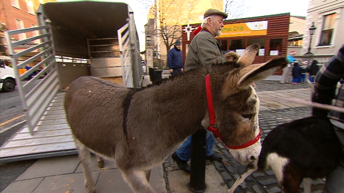 Should the traditional live crib feature at Dublin's Mansion House this ...